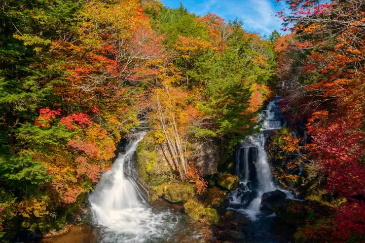 Japan Fall Foliage Forecast 2023: 25 Destinations and Tips | MATCHA ...